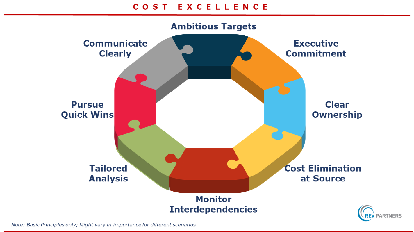 Achieving Cost Excellence | REV Partners